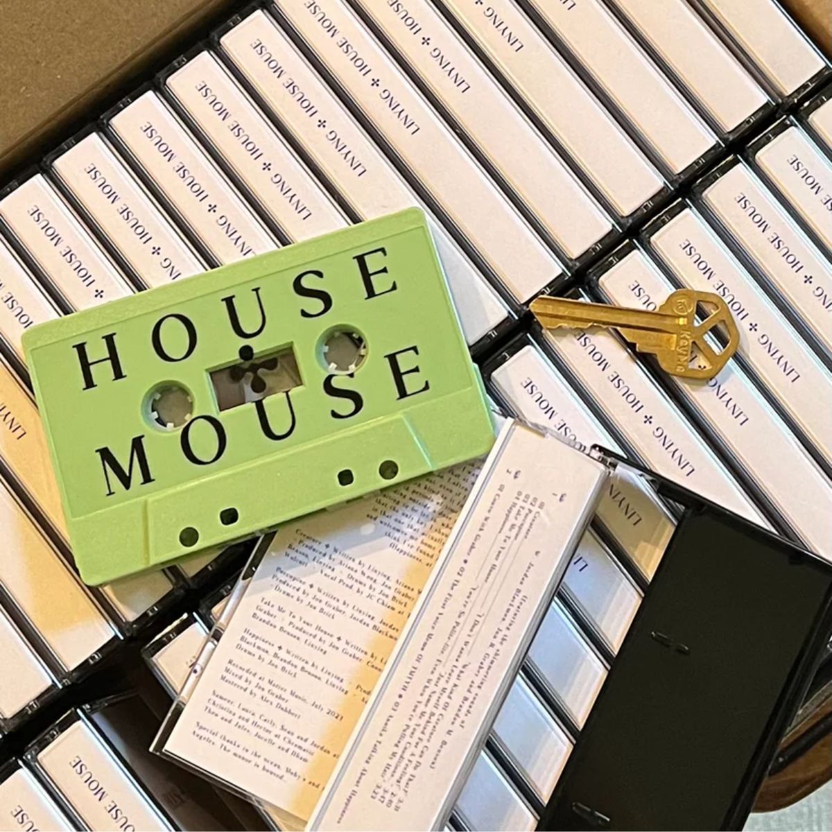 Linying - House Mouse (Limited Edition Cassette) – Bizarro Market