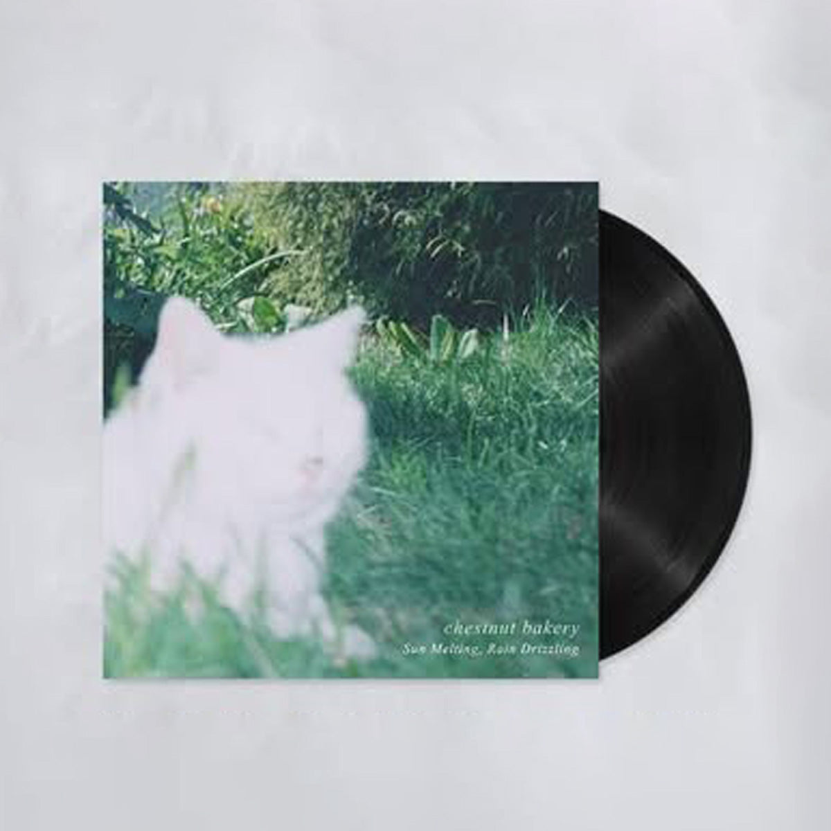 Chestnut Bakery - Sun Melting, Rain Drizzling – Bizarro Market